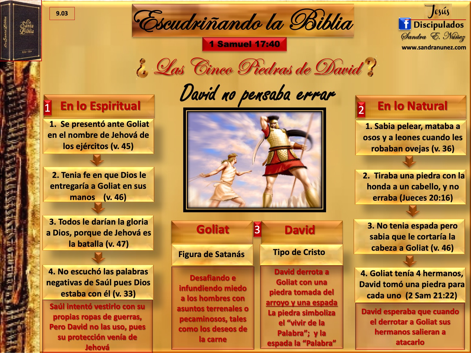 9.03 ‘¿Las Cinco Piedras de David? – David no pensaba errar’. – Sandra ...